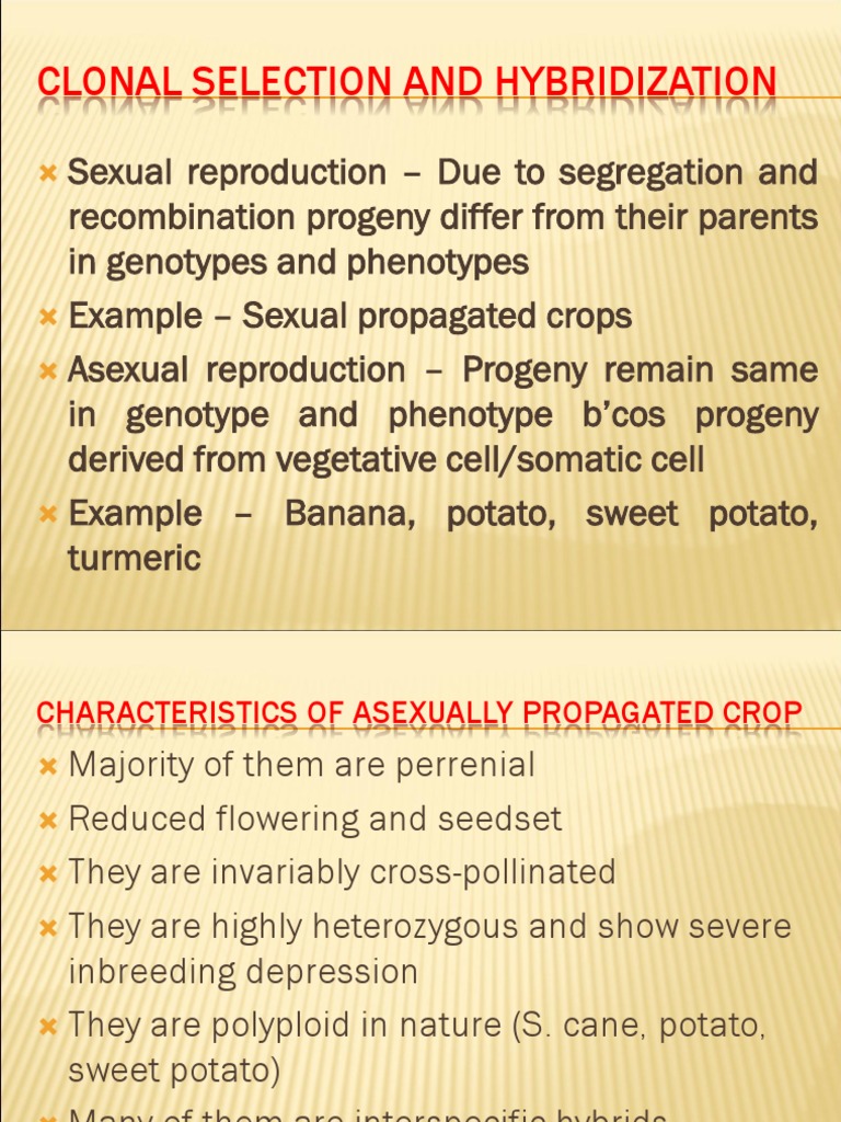 Clonal Selection | PDF | Cloning | Plant Breeding