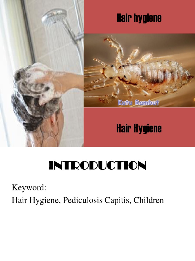 Hair Hygiene | PDF | Hygiene | Medicine