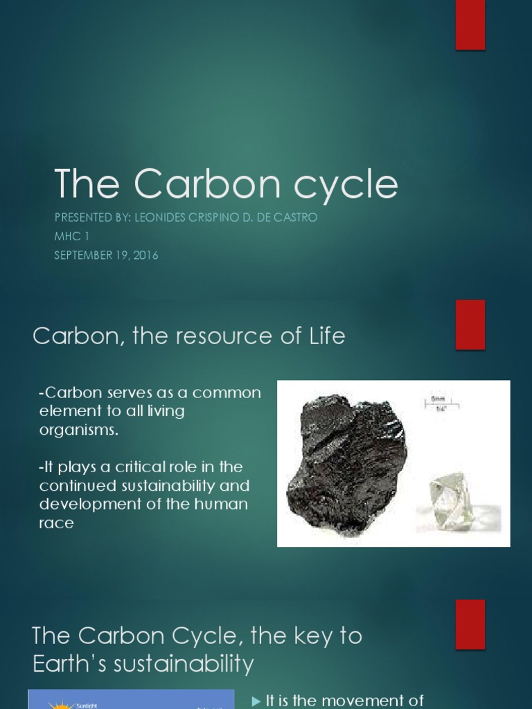 Carbon Cycle | PDF | Carbon Cycle | Earth Sciences