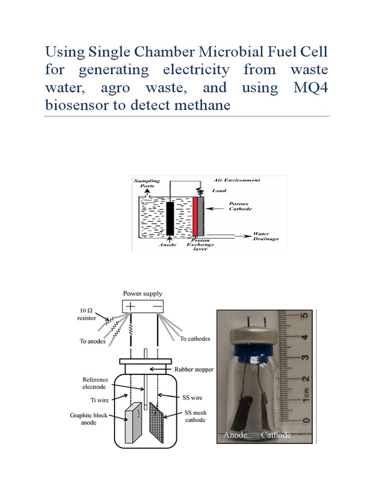 Using Single Chamber Microbial Fuel Cell For Generating Electricity ...