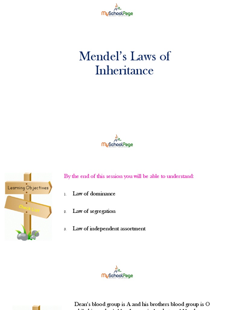 Laws of Inhertence | PDF | Dominance (Genetics) | Zygosity