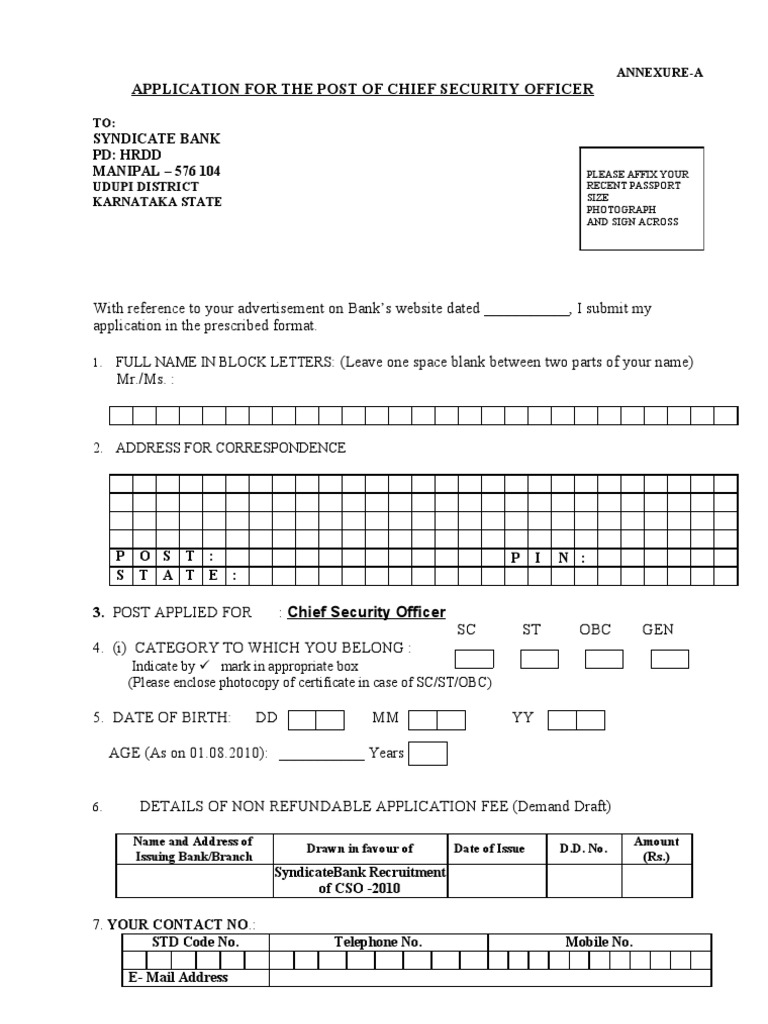Chief Security Officer Application Form | PDF | Professional ...