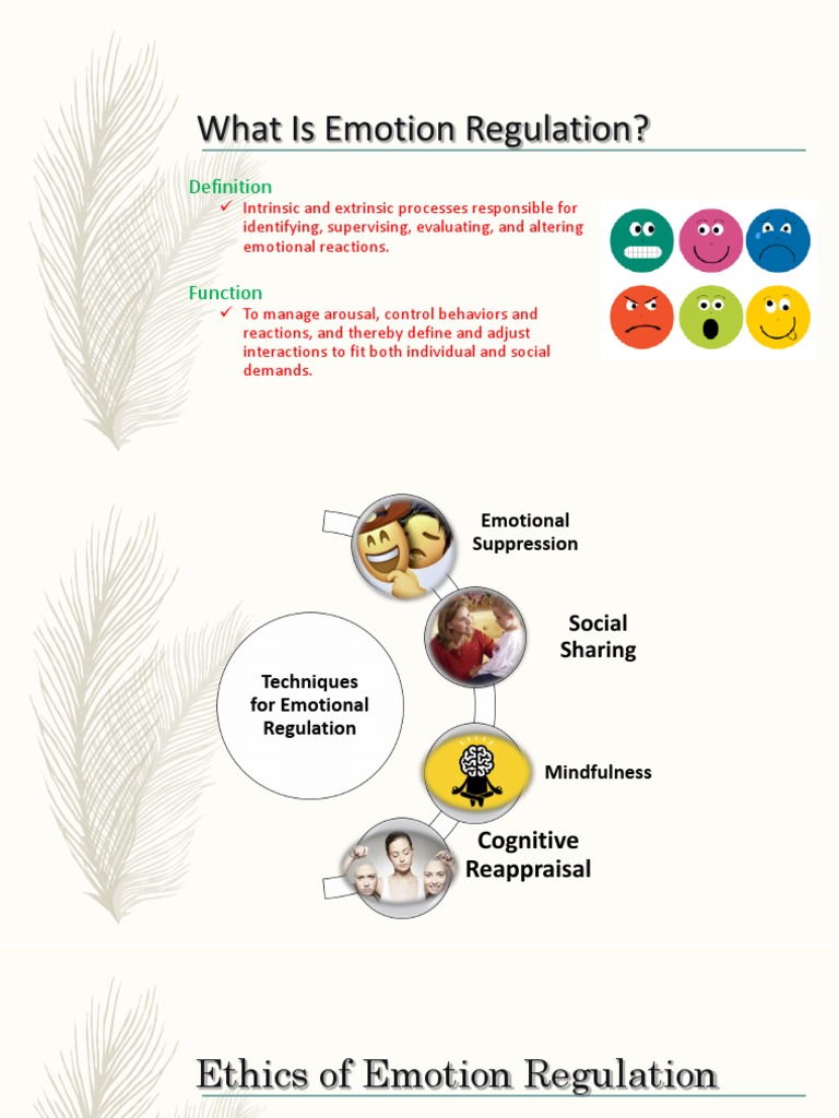 What Is Emotion Regulation? | PDF
