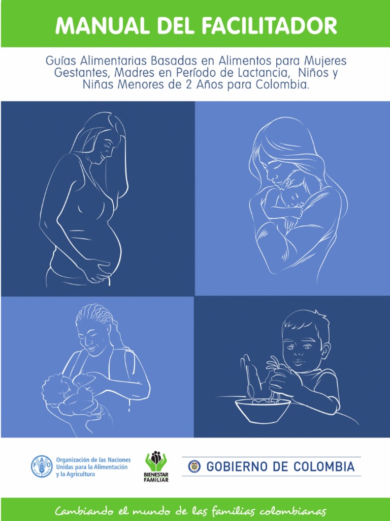 Guías Alimentarias para Gestantes y Lactantes | PDF | Amamantamiento ...