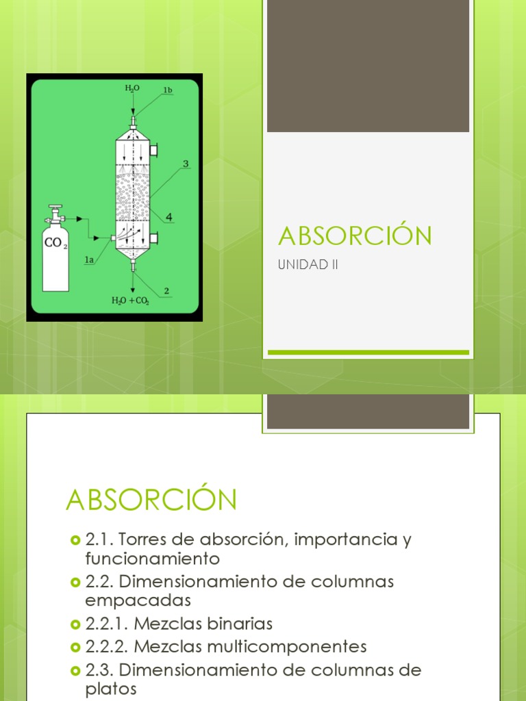 Procesos de Absorción y Desorción | PDF | Absorción (Química) | Solvente