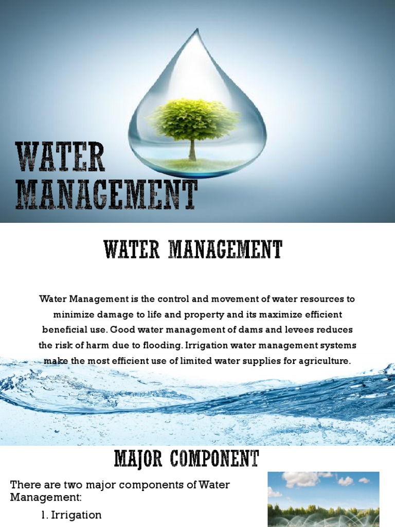 Water Management | PDF | Water Resource Management | Irrigation