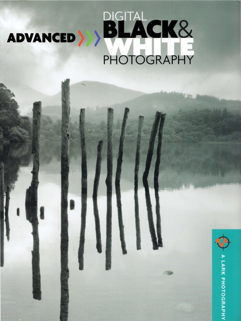 Advanced Digital Black White Photography | PDF