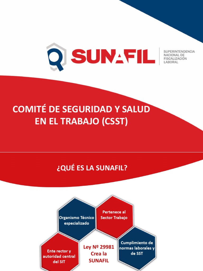 Comité De Seguridad Y Salud En El Trabajo (Csst) | Derecho laboral | Perú