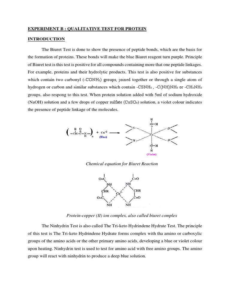 Experiment B: Qualitative Test For Protein: Chemical Equation For ...