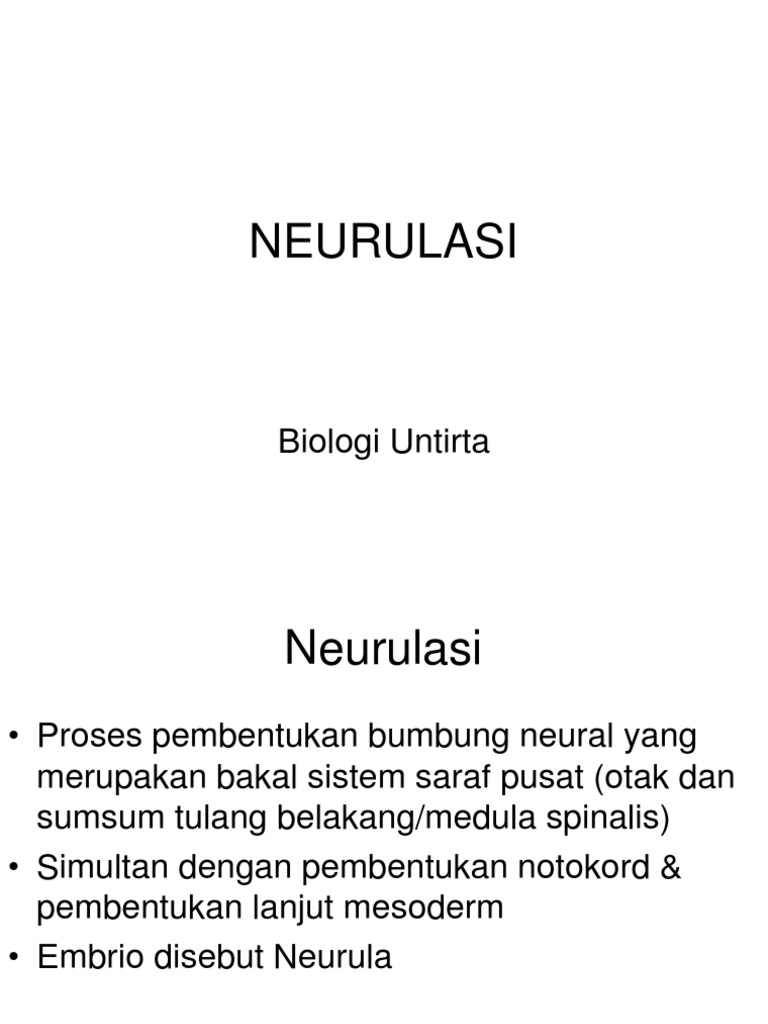 Neurulasi | PDF