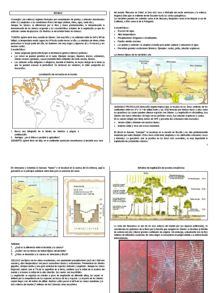 BIOMAS | PDF | Selva | Desierto