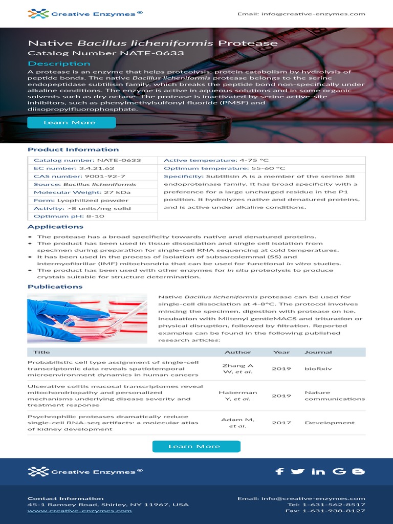 Native Bacillus Licheniformis Protease Creative Enzymes | PDF | Protease | Proteolysis