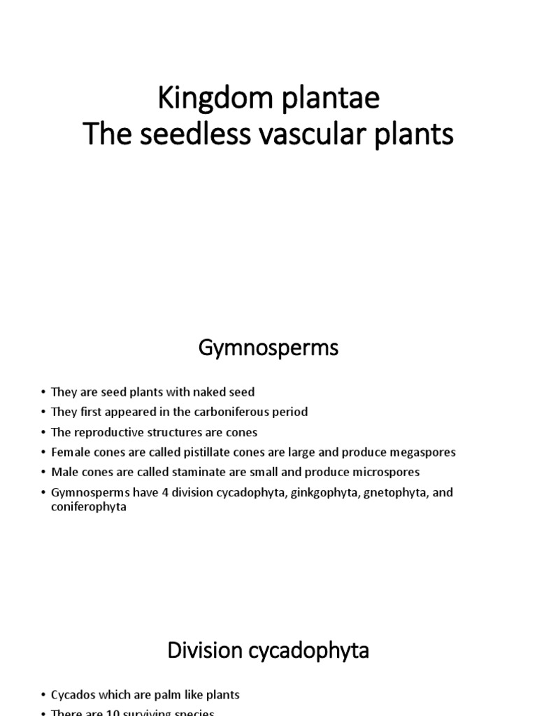 Kingdom Plantae The Seedless Vascular Plants | PDF