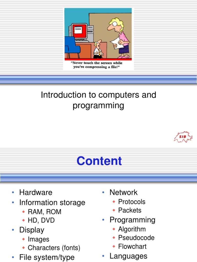 Introduction To Computers and Programming | PDF | Bit | Domain Name System
