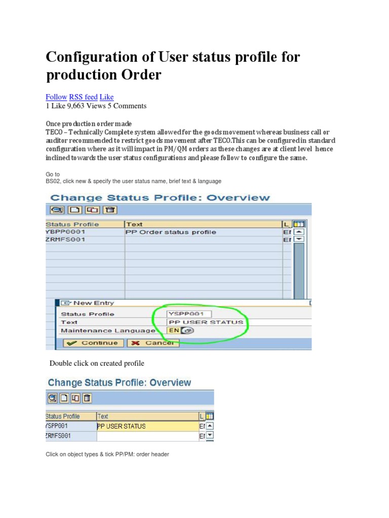 Configuring User Status for Production Orders | PDF