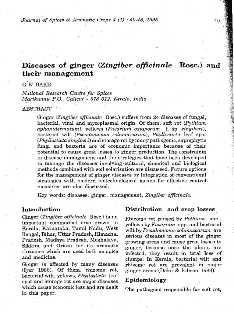 Diseases of Ginger | PDF | Plants | Horticulture And Gardening