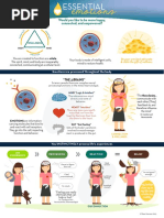 Build Guide Rank Planner doTERRA | PDF | Multi Level Marketing | Mentorship