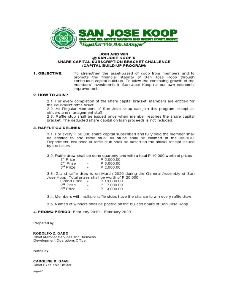 Share Capital Build Up 2019 | PDF