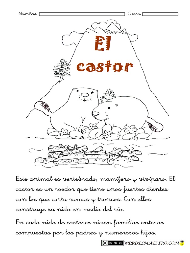 El Castor PDF | PDF