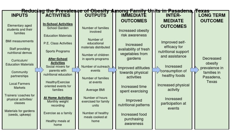 Logic Model For Obesity - Sample | PDF | Obesity | Nutrition