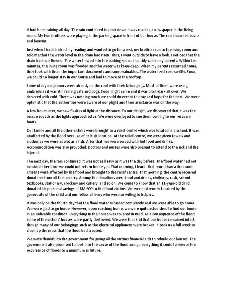 Essay | PDF | Disasters | Natural Disasters