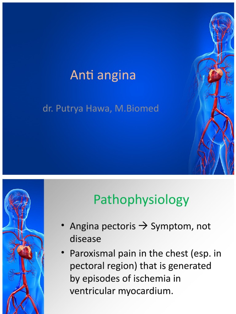 Anti Angina | PDF | Myocardial Infarction | Cardiovascular System