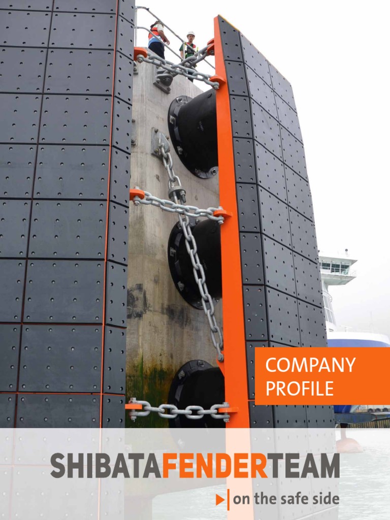SFT Company Profile US | PDF | Nature