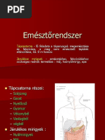 Az Emberi Test Felépítése Anatómia Ápolás | PDF