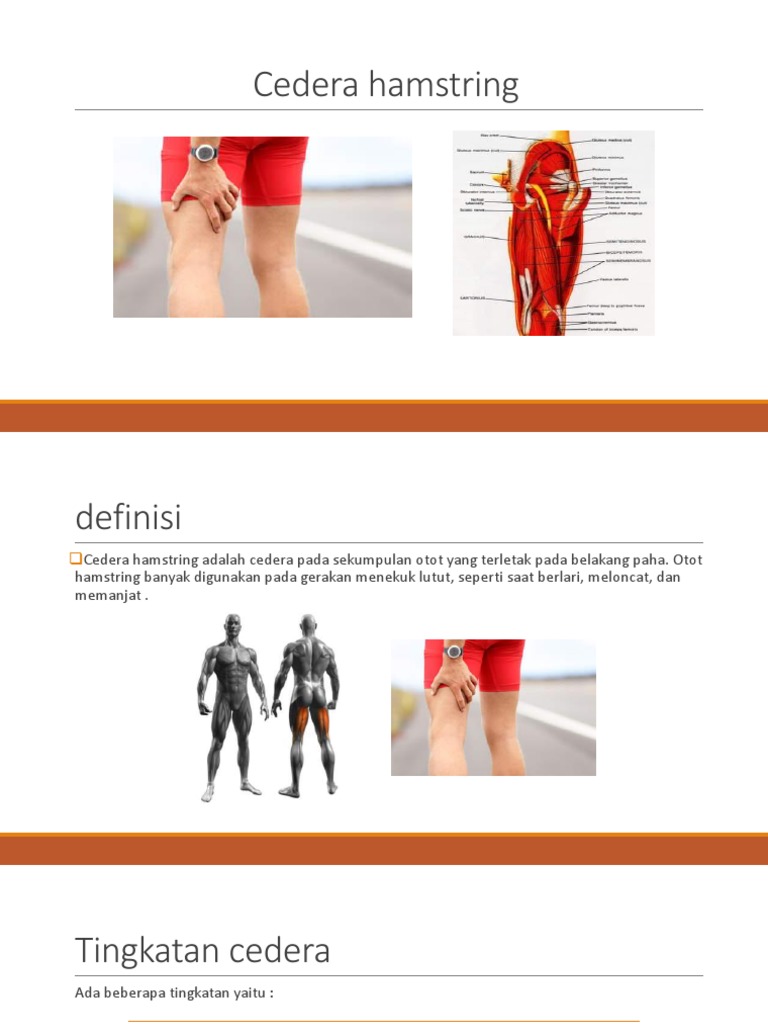 Cedera Hamstring | PDF
