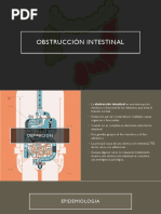 Suboclusion Intestinal | PDF | Enfermedades digestivas | Gastroenterología