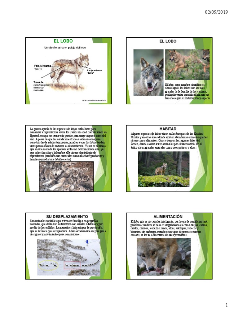 EL LOBO (Modo de Compatibilidad) | PDF | Organismos | Naturaleza
