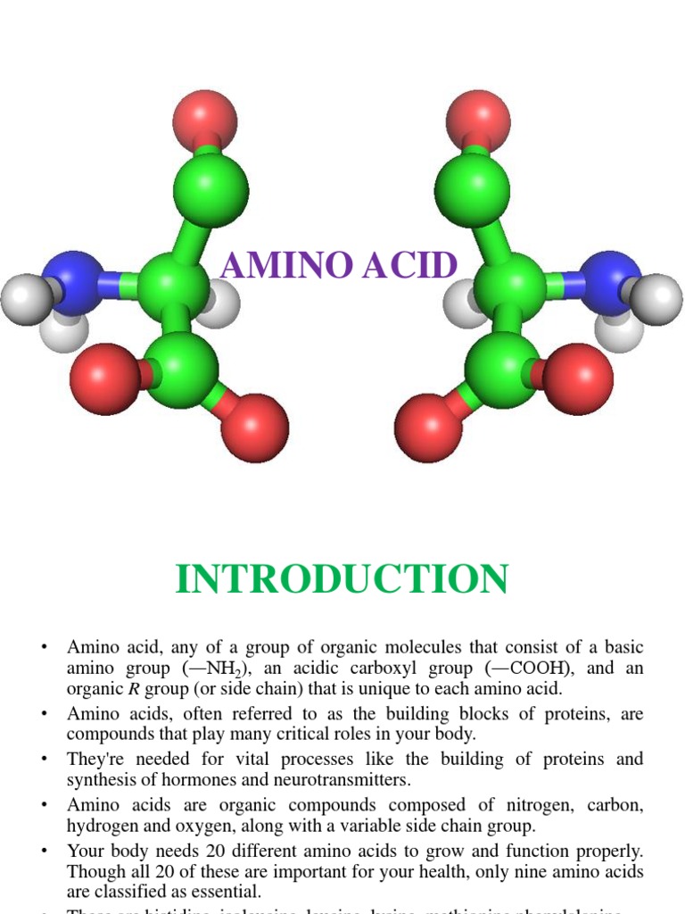 Amino Acid | PDF | Amino Acid | Acetylation