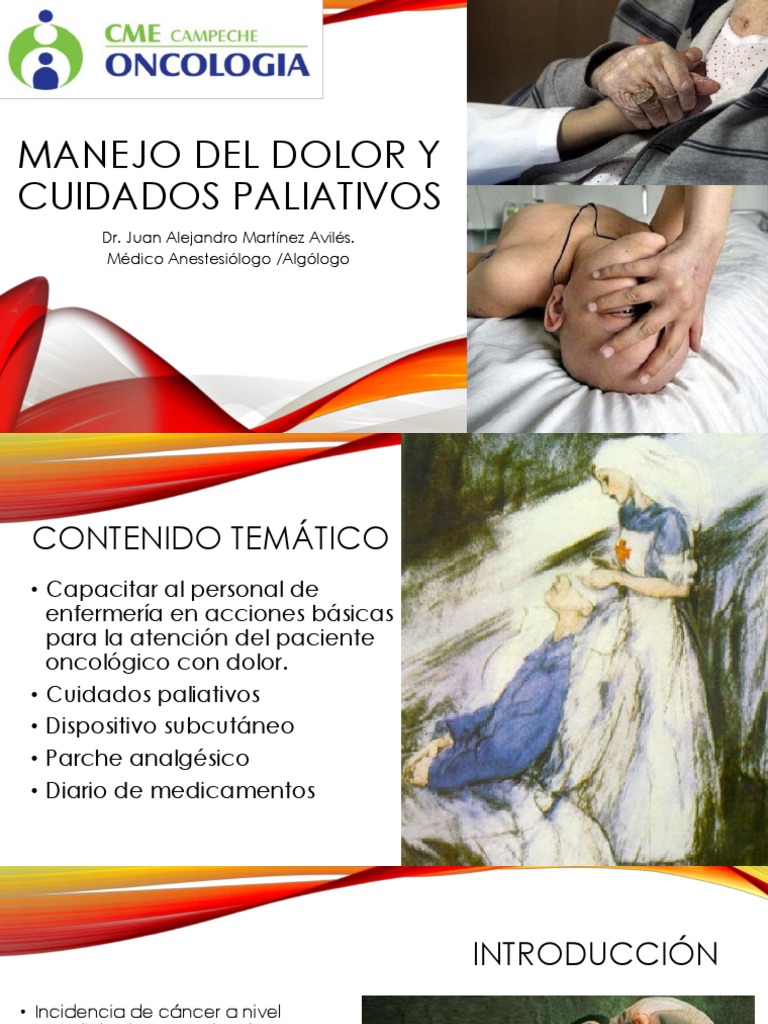 Comprensivo Resumen Sobre El Manejo Del Dolor Y Los Cuidados Paliativos