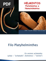 Modelo de Panfleto Editável (DST'S) Frente e Verso. Dobrar Ao Meio PPT ...