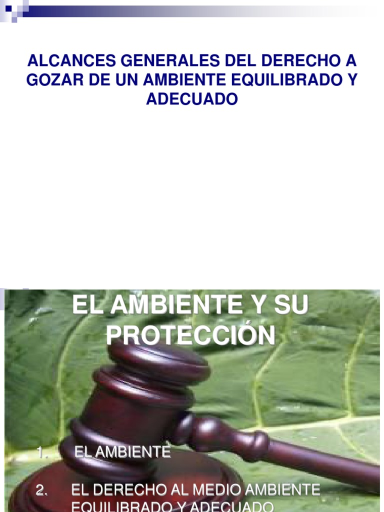 Derecho A Un Ambiente Sano y Equilibrado | PDF | Sustentabilidad | Ley ... Derecho A Un Ambiente Sano y Equilibrado | PDF | Sustentabilidad | Ley ...