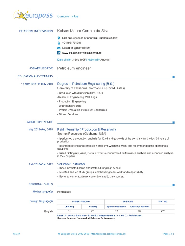 Silva CV (English) | PDF | Engineering | Learning