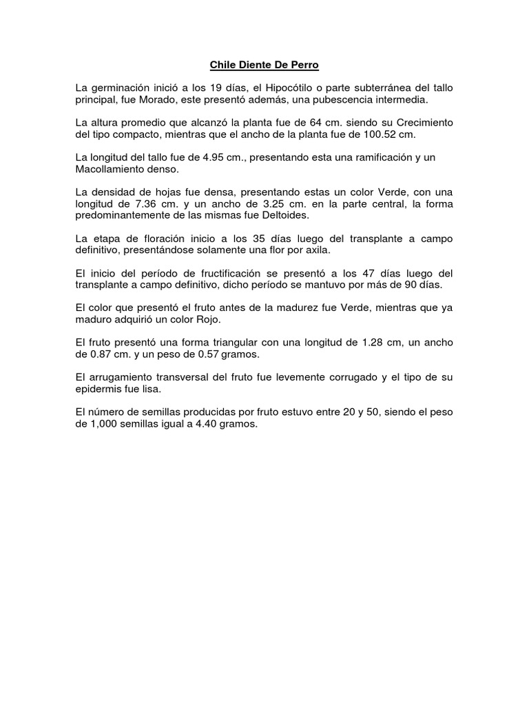 Chile Diente de Perro | PDF