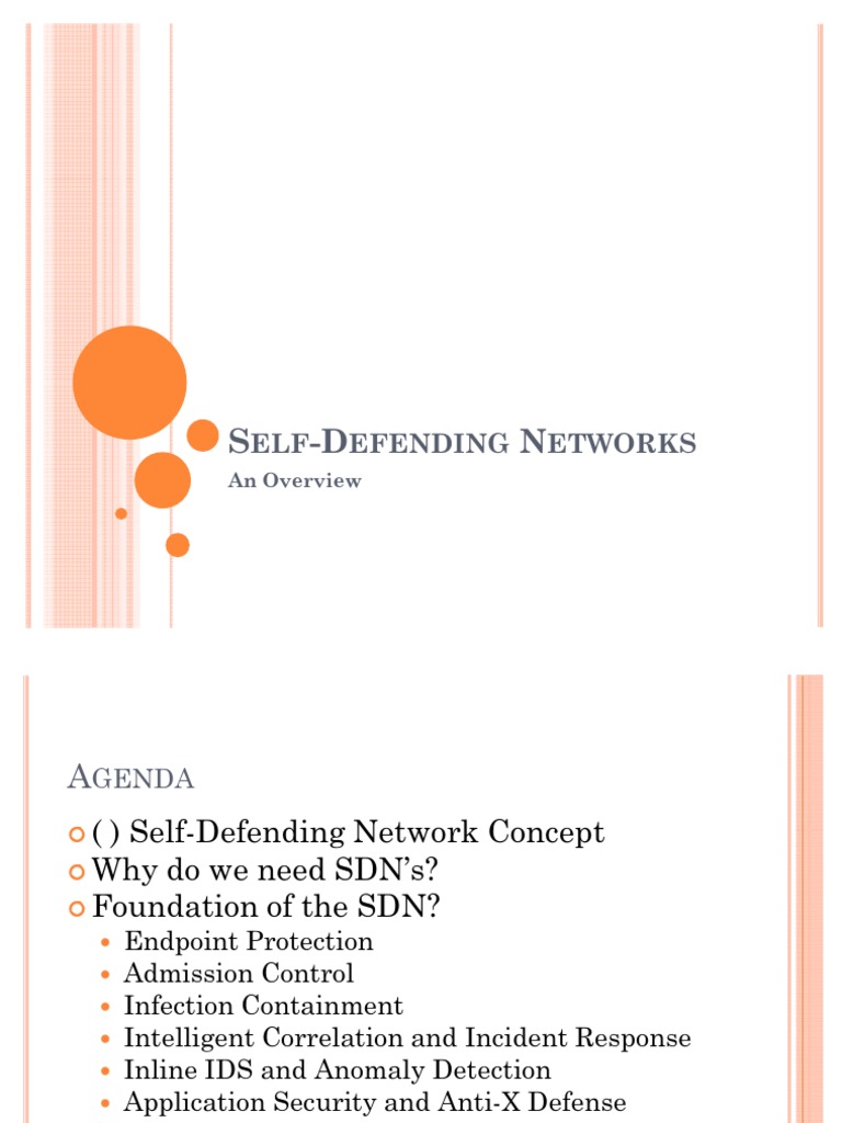 Self Defending Networks | PDF | Computer Security | Security