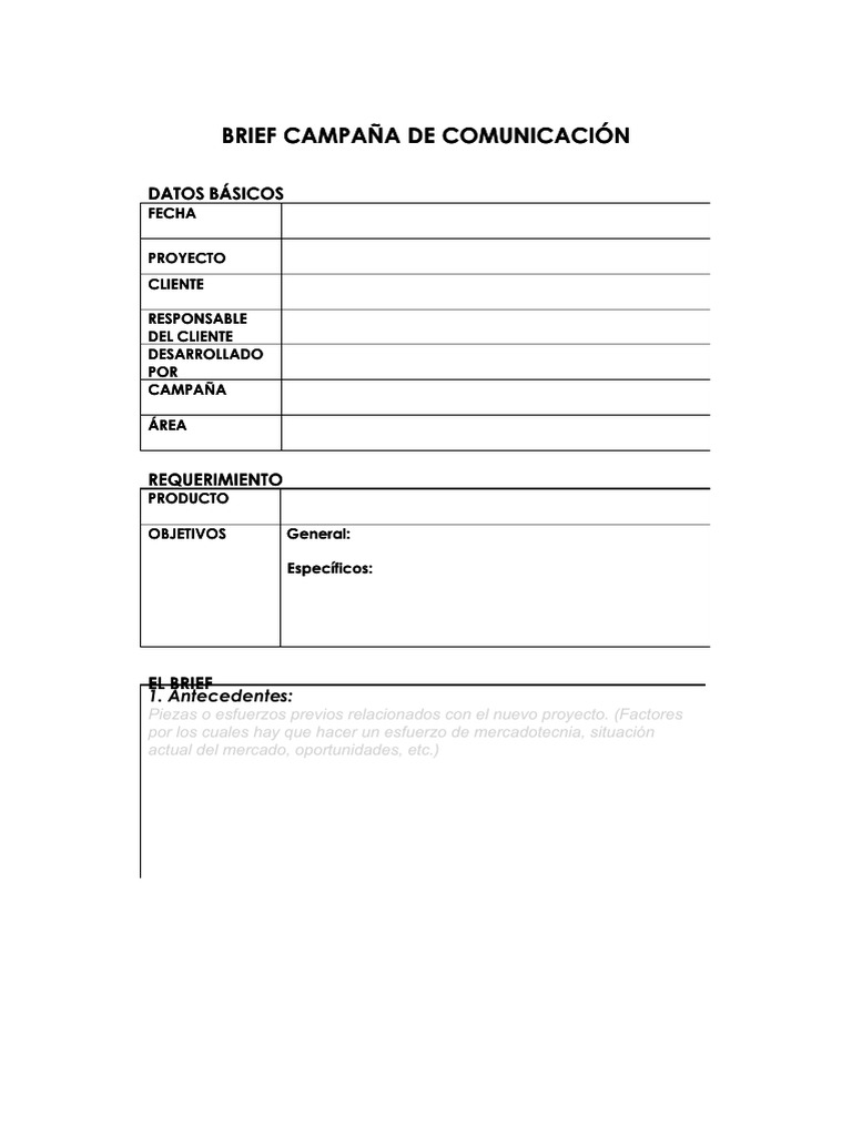 Formato Brief Campaña de Comunicación PDF | PDF