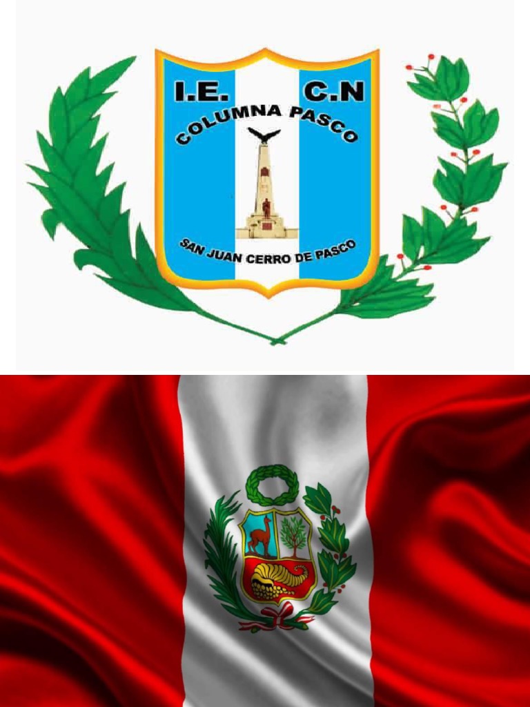 Insignia de La Columna Pasco | PDF