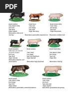 Swine Breeds | PDF | Domesticated Animals | Breeding