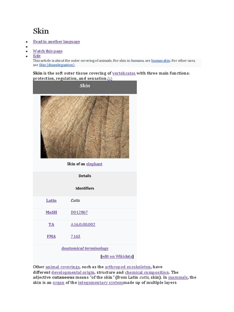 Vertebrates: With Three Main Functions: Protection, Regulation, and ...