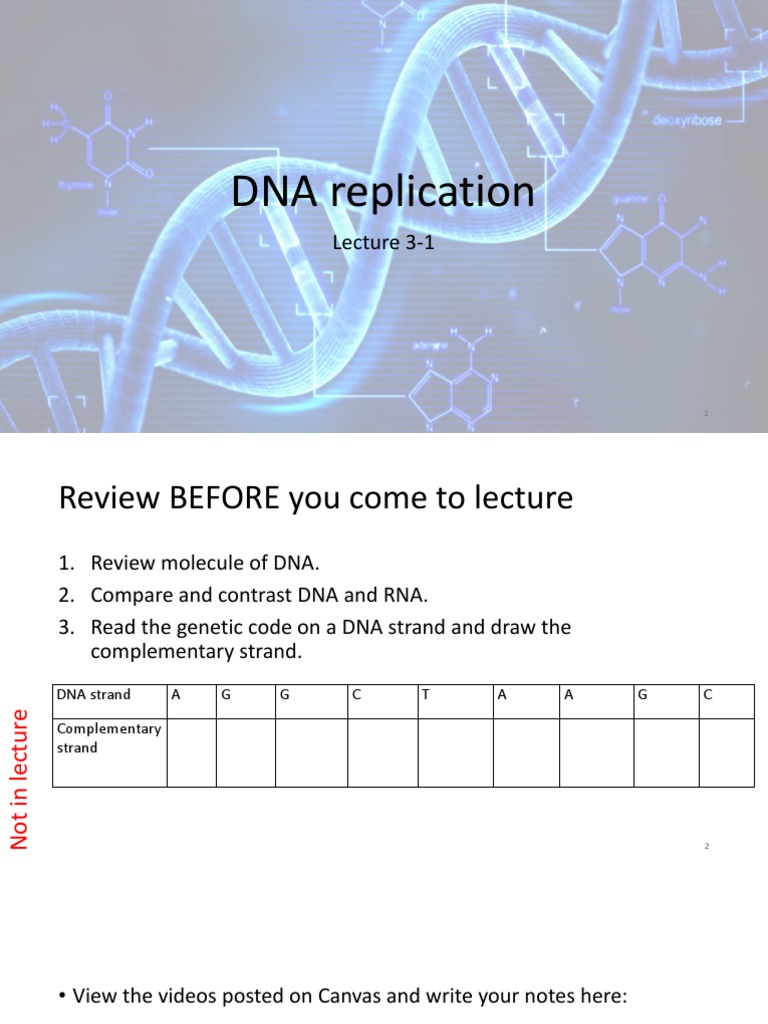 Lecture 3-1 - DNA Replication - For Students | PDF | Dna Replication | Dna