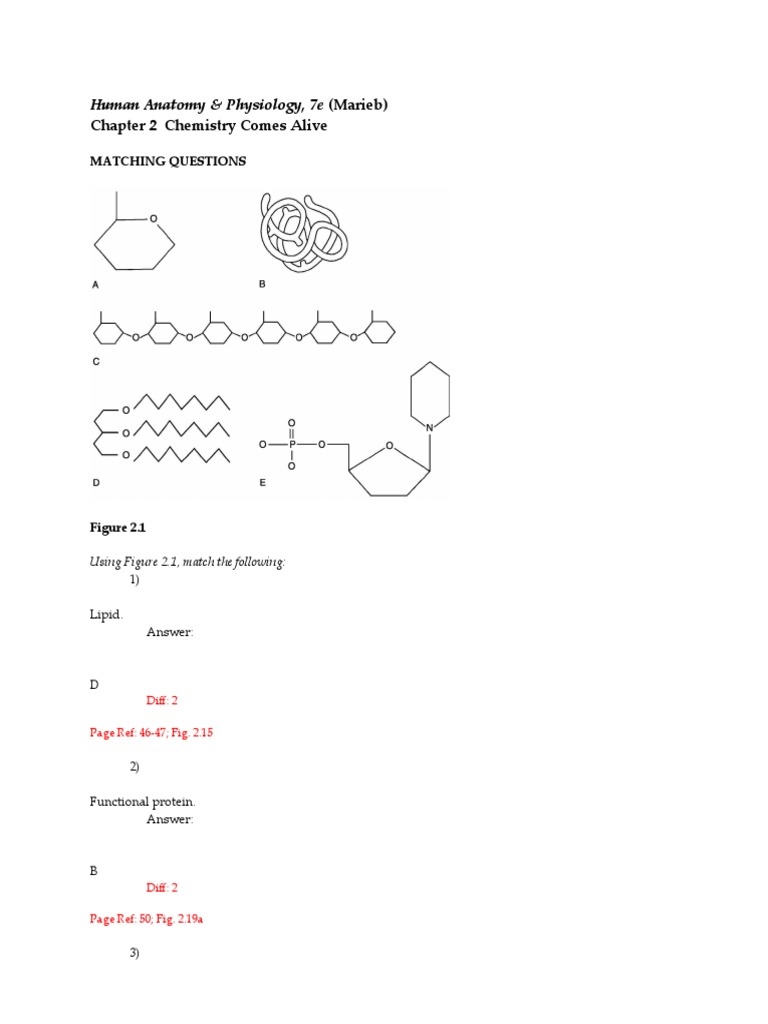 Chapter 2 Chemistry Comes Alive: Human Anatomy & Physiology, 7e (Marieb ...