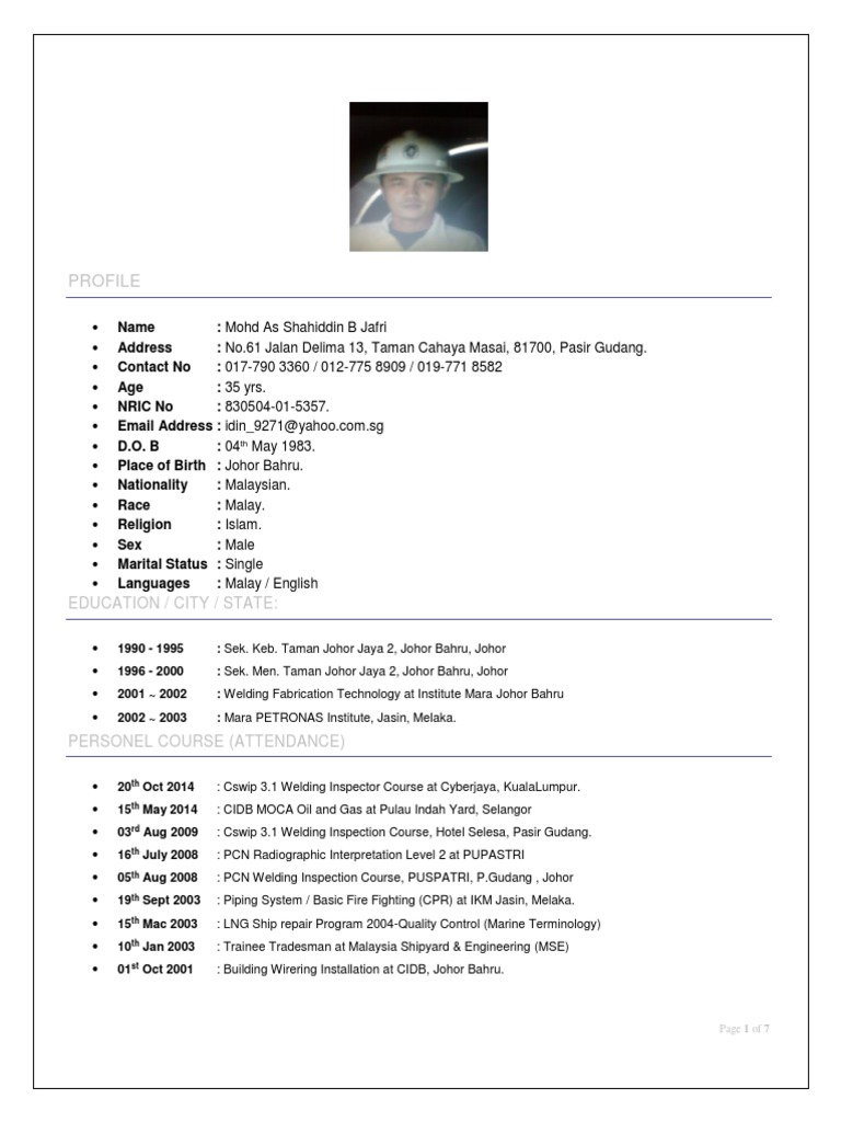 CV2019 | PDF | Mechanical Engineering | Nature