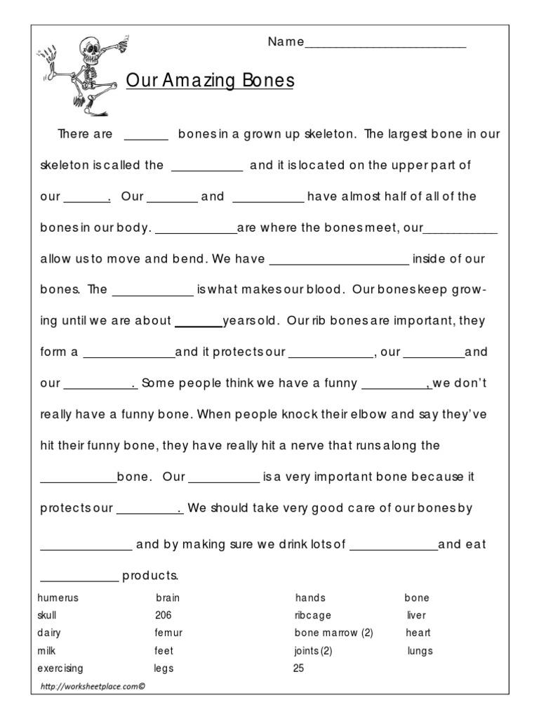 All About Bones | PDF | Skeleton | Bone