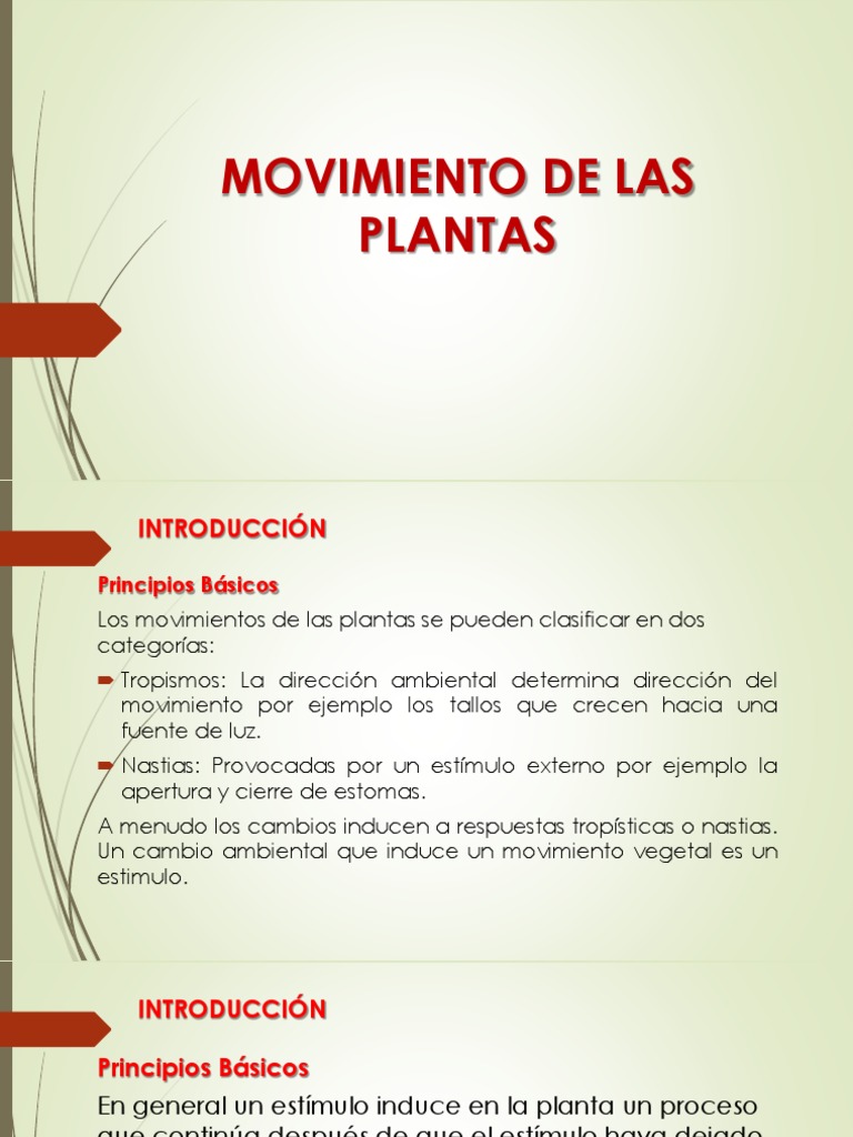 Movimientos de las Plantas: Tropismos y Nastias | PDF | Raíz | Hoja