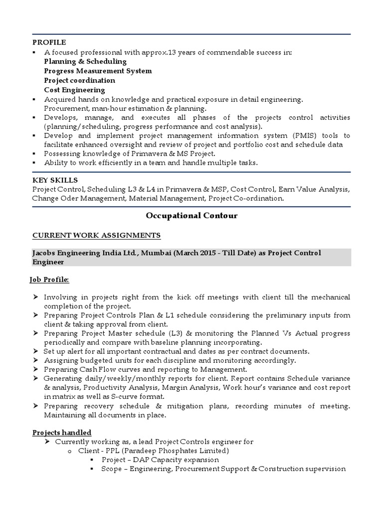 CV Format | PDF | Project Management | Business
