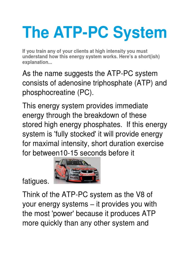 The ATP-PC System | PDF | Adenosine Diphosphate | Adenosine Triphosphate