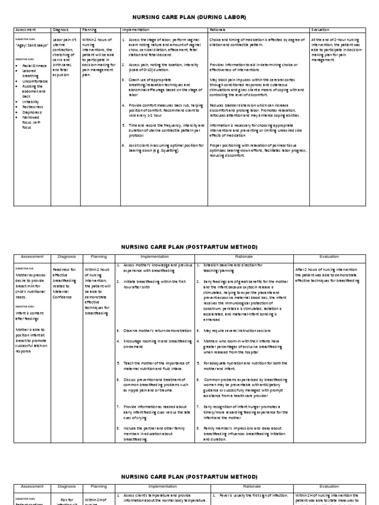 Nursing Care Plan (During Labor) : Subjective Cues | PDF ...